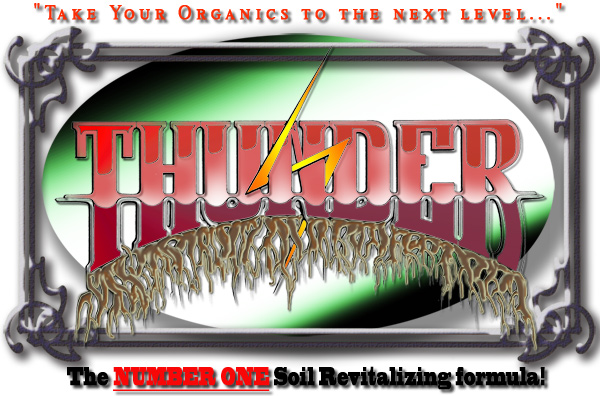 THUNDER makes a big Splash at the THC Expo in Los Angeles! – Living ...
